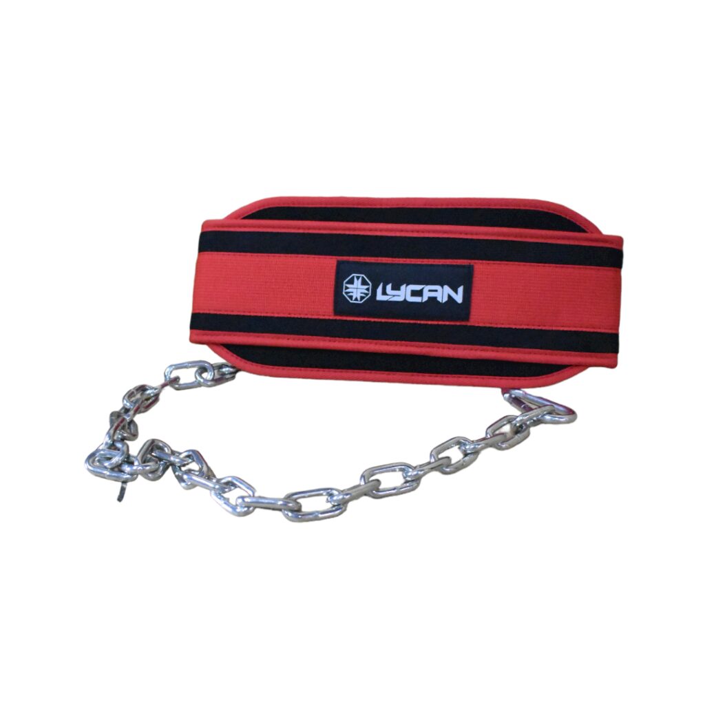CINTURON DE LASTRE LYCAN | Lycan Fitness